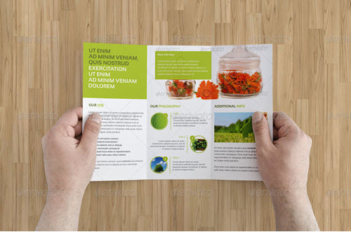 20+ Premium and Free Environmental Protection Flyer & Brochure PSD ...