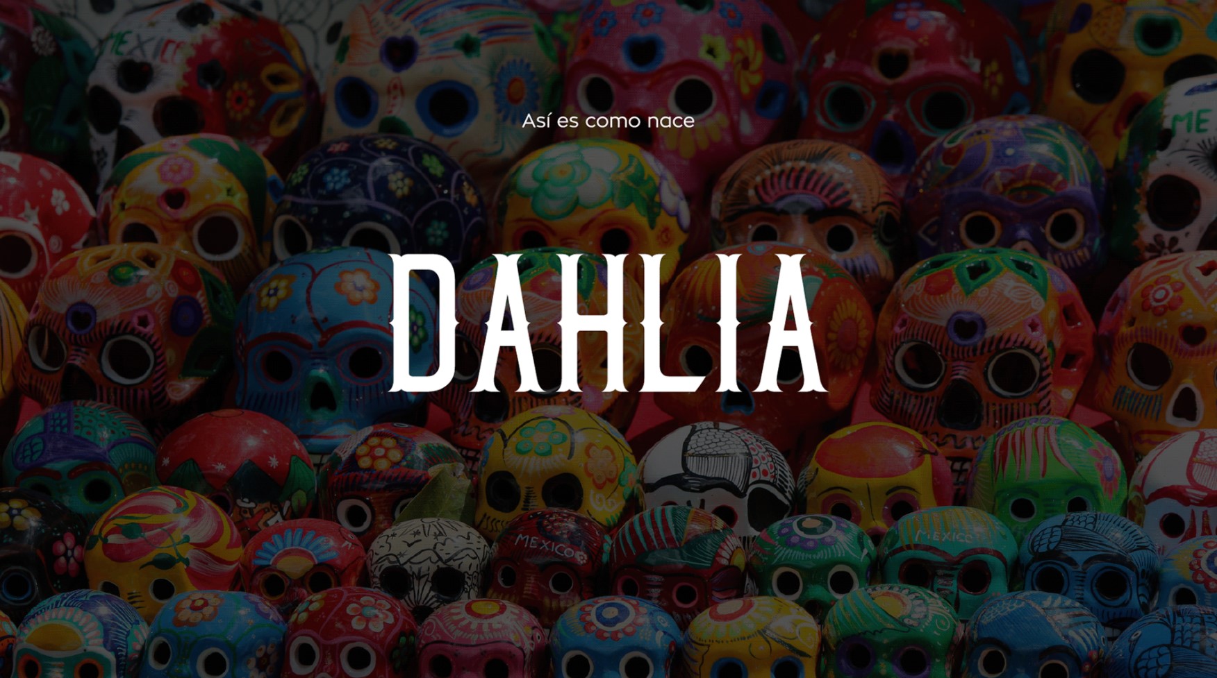 Free Dahlia Typeface – Free PSD Templates