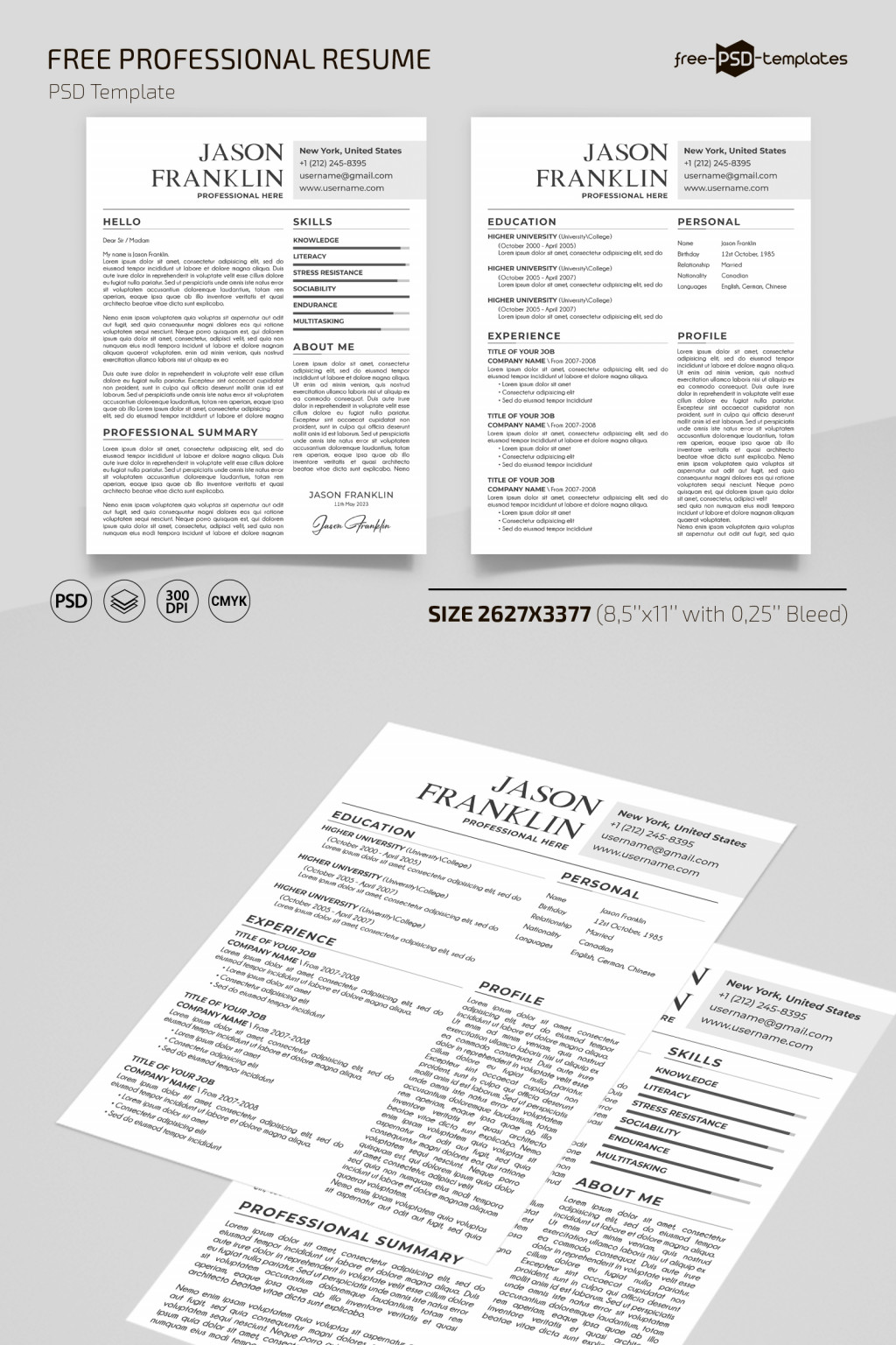 Free Swe Resume Template for Photoshop (PSD)