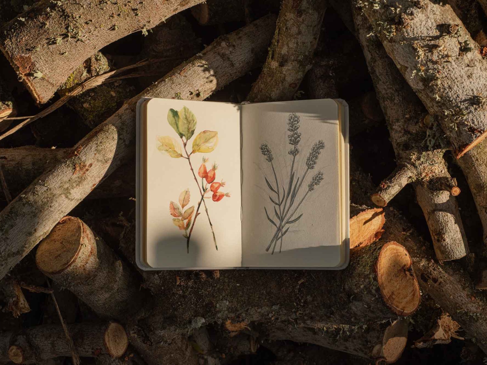 Free Artistic Sketchbook Natural Scene PSD Mockup